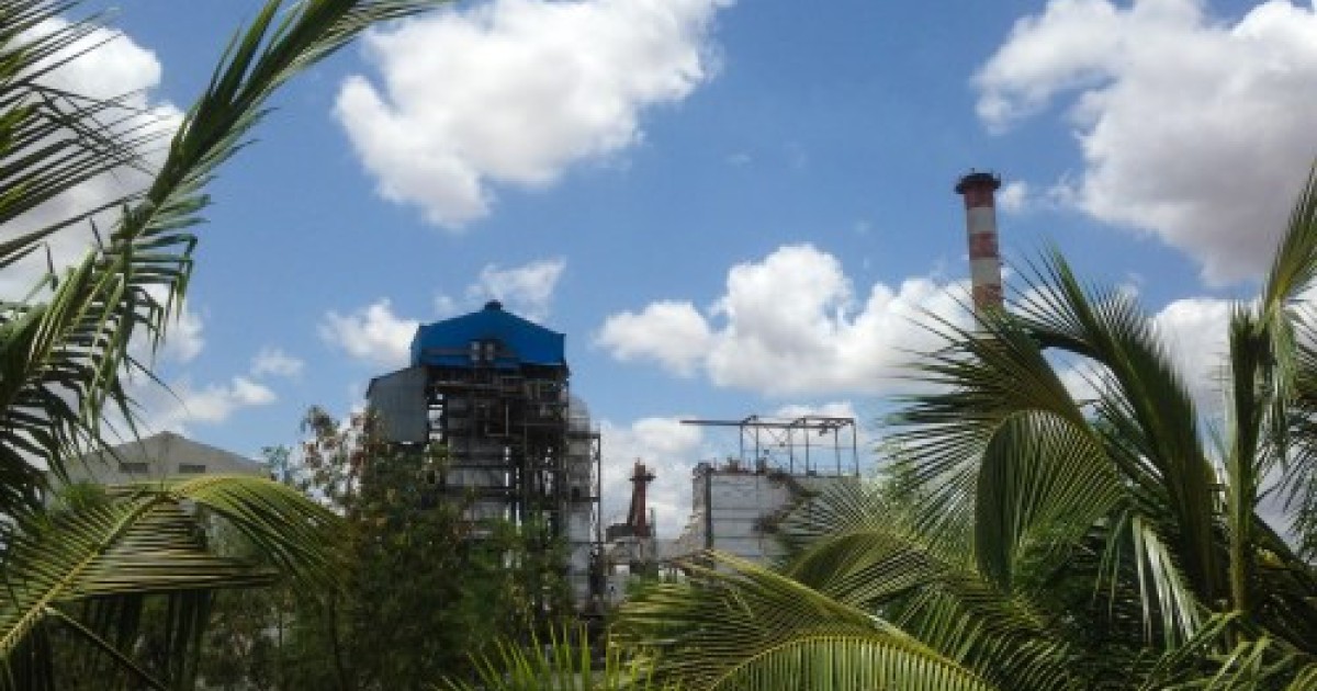 Renewable Energy from Biomass | SINUS-Institut